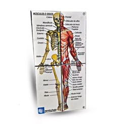Casa da Educação - Livro Cubo Anatomia - Livro Cubo Brasil - 3